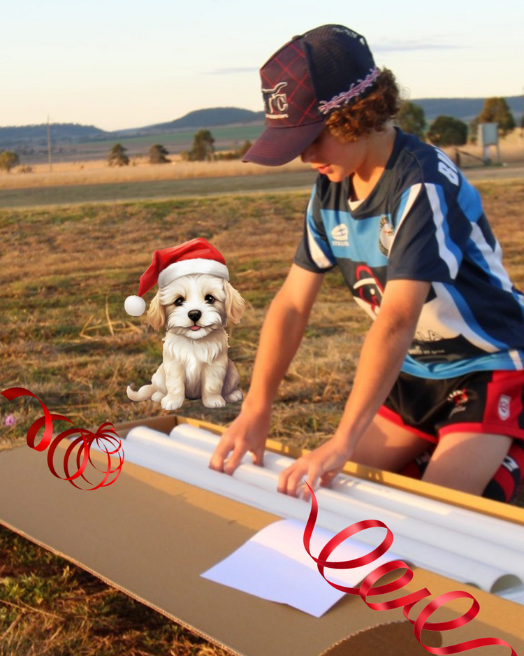 Backyard Footy Posts - Buy AFL Goals & NRL / Rugby Posts